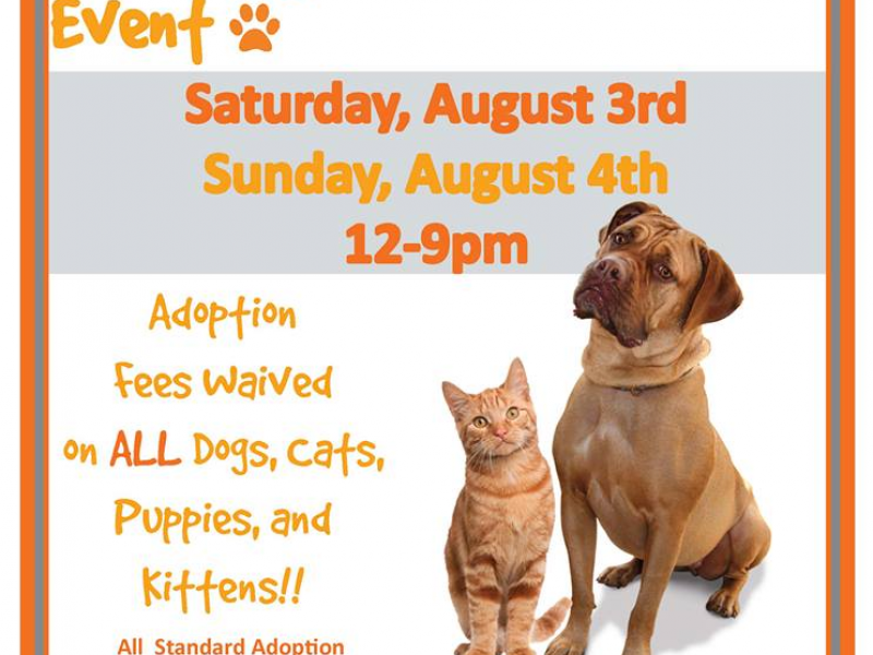 Pet Adoption Fees Waived Patch