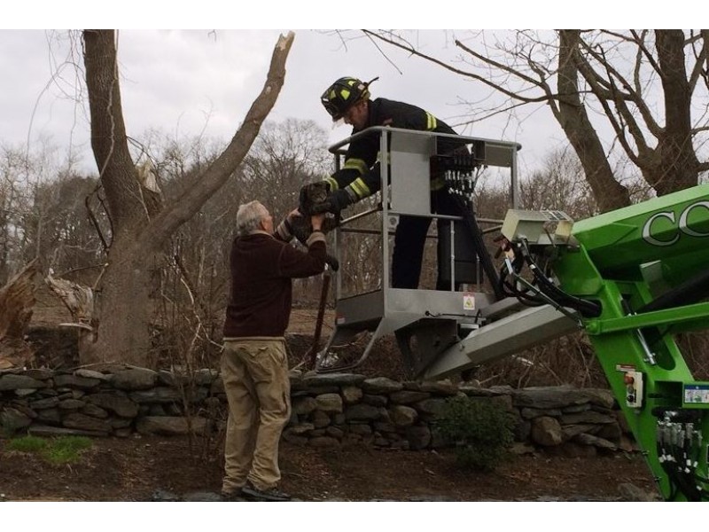 Firefighters Rescue Cat Stuck in Tree for Three Days | Portsmouth, RI Patch Firefighters Rescue Cat Stuck in Tree for Three Days | Portsmouth, RI Patch