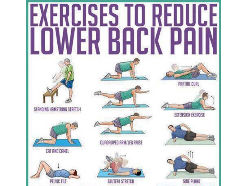 Back Pain? Try These Exercises! by Dr Jeff Langmaid Brandon, FL ...
