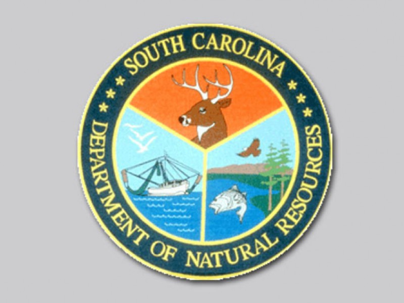 Where Is South Carolina Dnr Located at Angela Bates blog