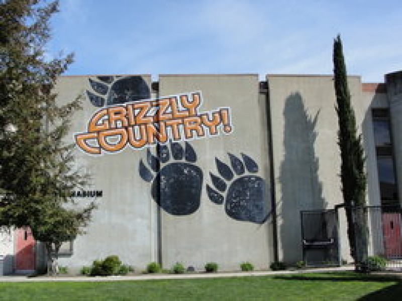 Cal High's Candidates for Graduation - San Ramon, CA Patch