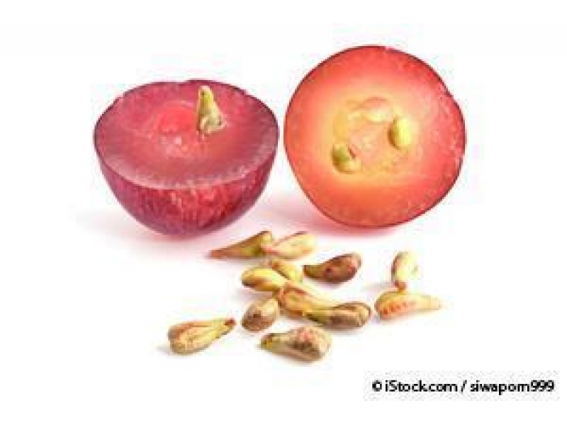 The Health Benefits of the Grape Seed - Ramsey, NJ Patch