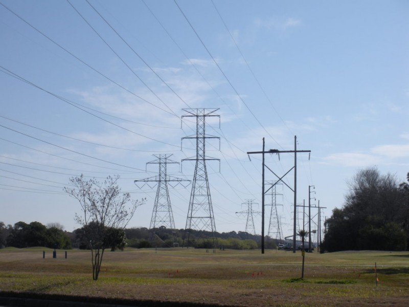 Ospreys Build Nests on Signs, Power Lines & Cell Towers - Palm Harbor ...