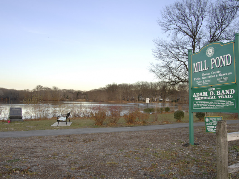 UPDATED: Police Investigating Homicide After Body Found At Mill Pond ...