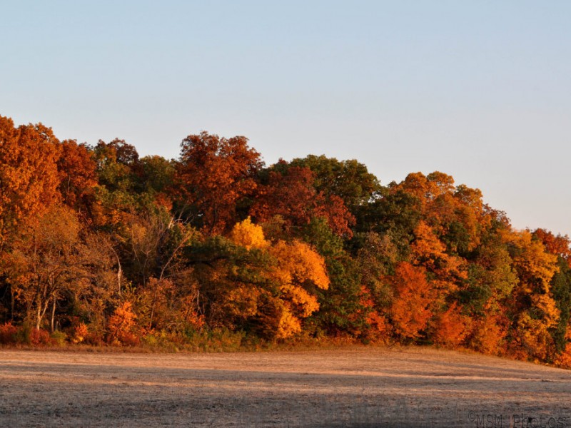 Now is the Best Time to See Fall Colors in Iowa (Photos)