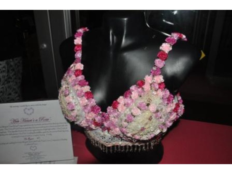 Hudson Valley Hospital Center Holds Bra Decorating Contest for Breast ...