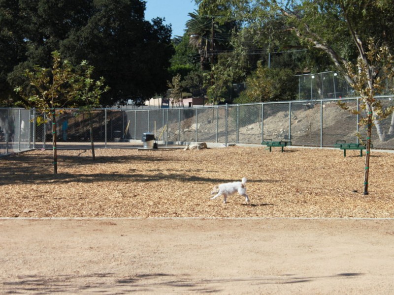 Crescenta Valley Dog Park Opens | Montrose, CA Patch